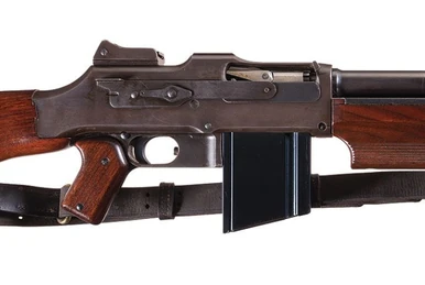 michael riddell webster