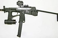 PP-2000 | Gun Wiki | Fandom