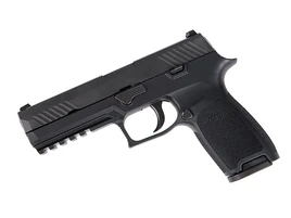 SIG Sauer P320 | Gun Wiki | Fandom