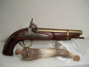 Caplock | Gun Wiki | Fandom