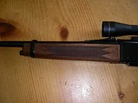 Forearm | Gun Wiki | Fandom