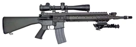 Mk 12 Special Purpose Rifle | Gun Wiki | Fandom