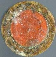 AAI ACR | Gun Wiki | Fandom