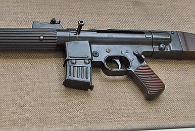 L Abitacolo Terni Rifle Terni Model 1921 | Gun Wiki | Fandom