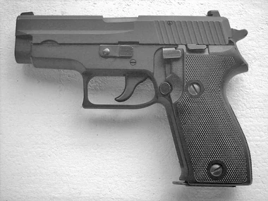 SIG Sauer P225 | Gun Wiki | Fandom