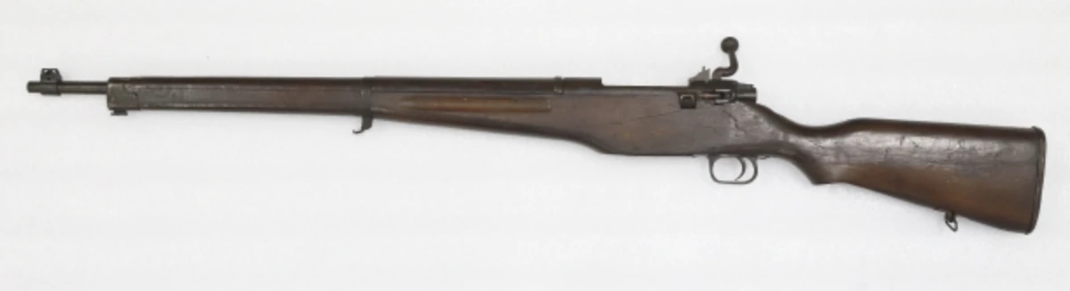 Dae-Han rifle | Gun Wiki | Fandom