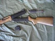 Leader Dynamics Series T2 MK5 | Gun Wiki | Fandom