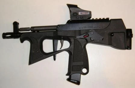 PP-2000 | Gun Wiki | Fandom