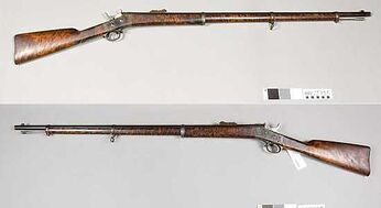Remington Rolling Block rifle | Gun Wiki | Fandom