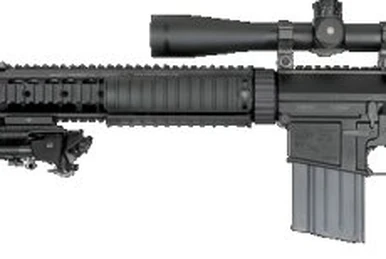 sr 25 weight