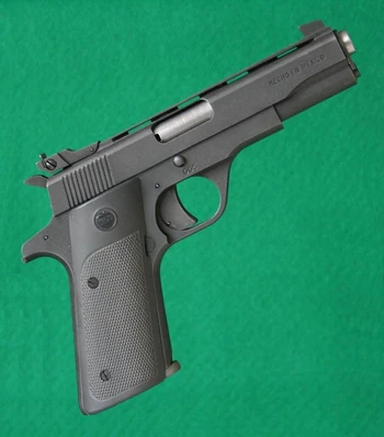 Trejo pistol | Gun Wiki | Fandom