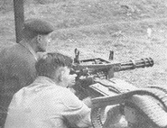 M134 Minigun | Gun Wiki | Fandom