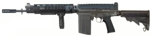 Sc2010 Rifle