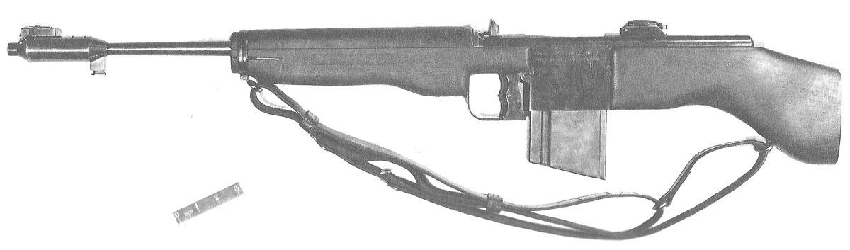 Sieg automatic rifle | Gun Wiki | Fandom