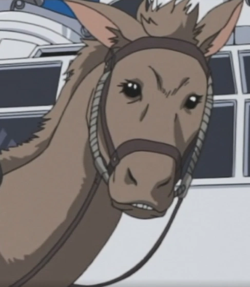 Palikare | Gun X Sword Wiki | Fandom