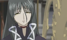 Fasalina: Series History | Gun X Sword Wiki | Fandom