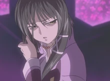 Fasalina: Series History | Gun X Sword Wiki | Fandom