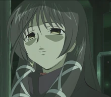 Fasalina: Series History | Gun X Sword Wiki | Fandom