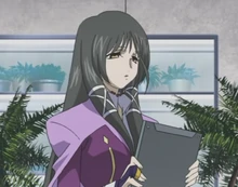 Fasalina: Series History | Gun X Sword Wiki | Fandom