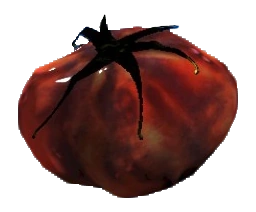 Tato | GURPS Fallout Wiki | Fandom