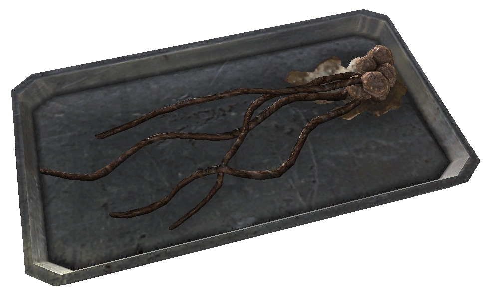 Alien Squid Food | GURPS Fallout Wiki | Fandom