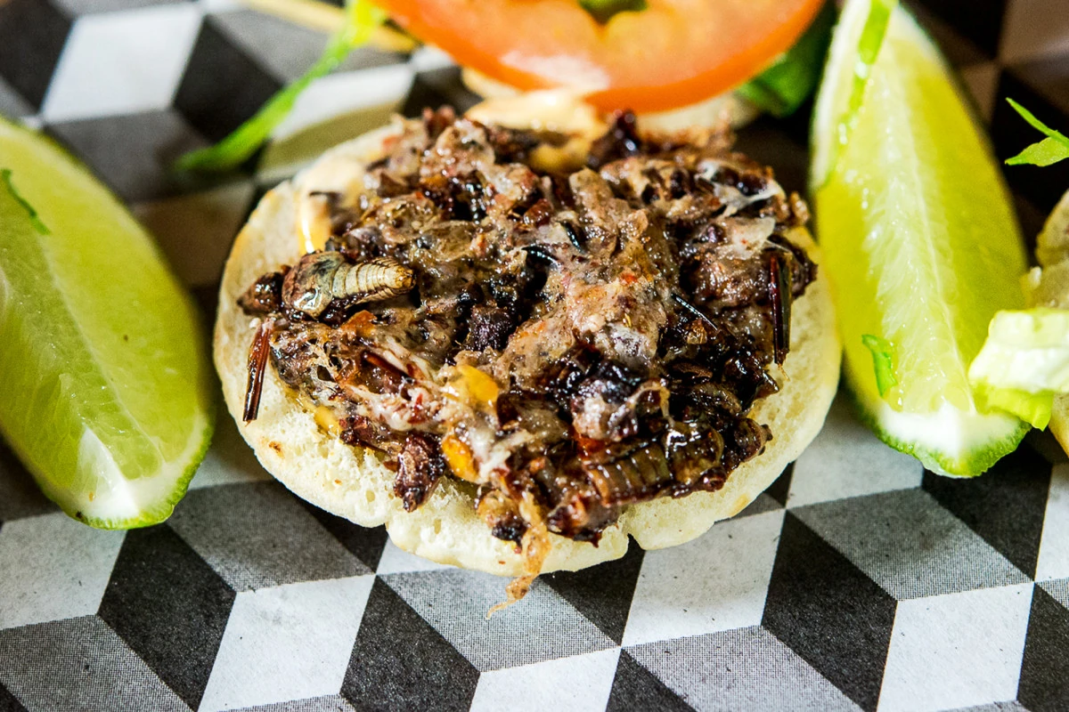 Bloatfly Slider | GURPS Fallout Wiki | Fandom