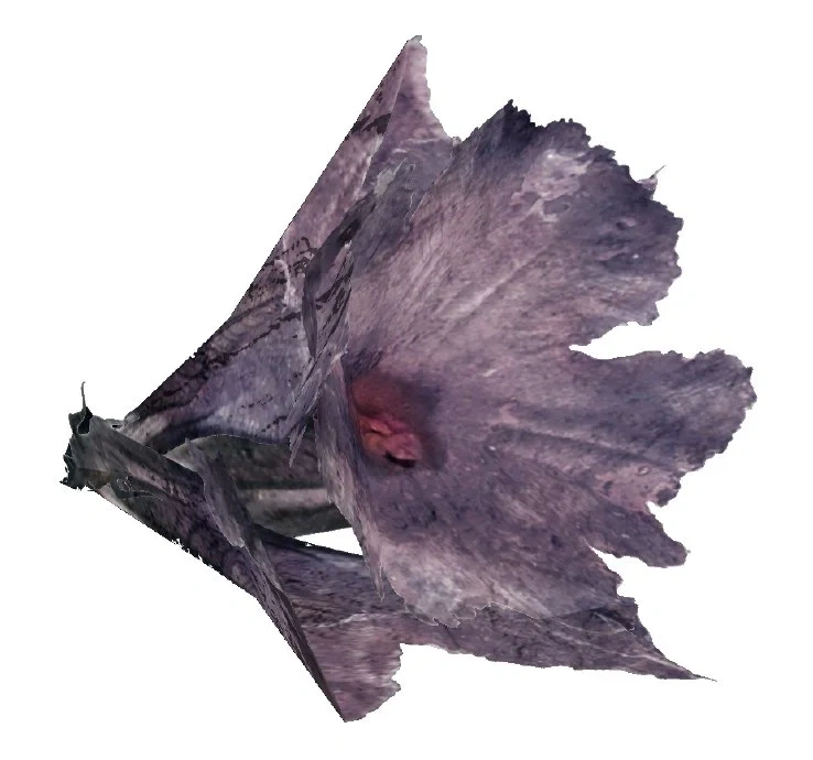 Ash Blossom | GURPS Fallout Wiki | Fandom