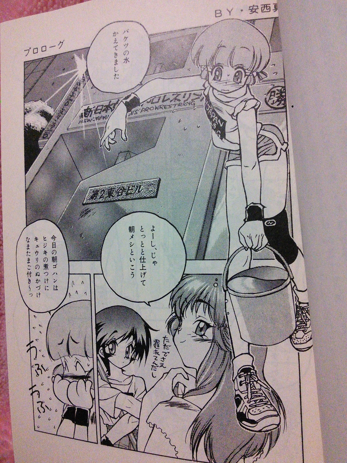 New Japan Women's Pro Wrestling | GURPS Wiki | Fandom