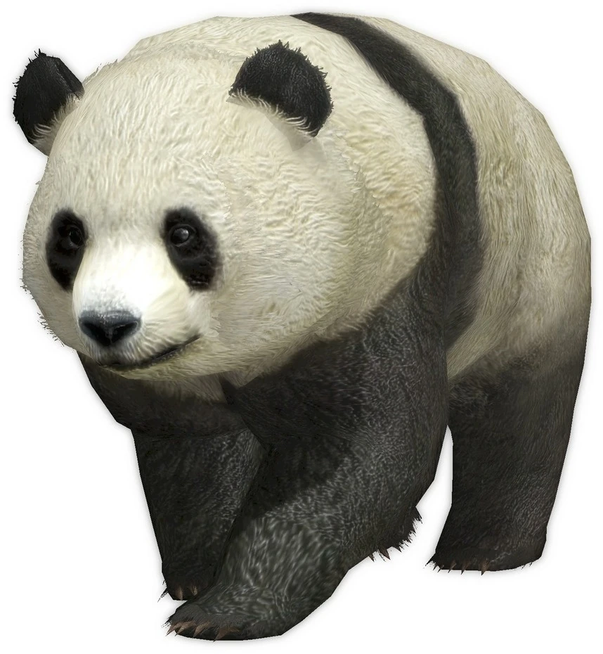 Panda (Zhao Yun's Force) | Guru Some and Truth Be Told Wiki | Fandom