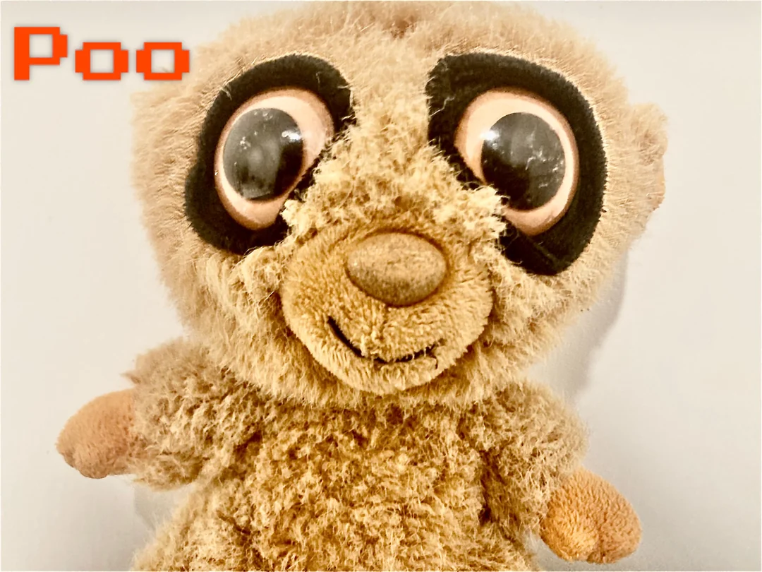 POO | Gus Fck Schulz Wiki | Fandom