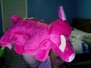 Henry Pig | Wiki Gutierrezfamily | Fandom