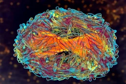 Andrew Rambaut | Wiki Guy de Rambaud | Fandom