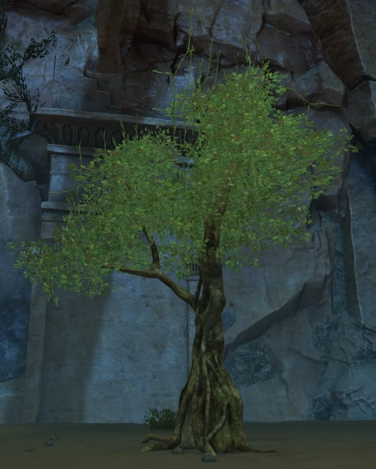 Green Tree | ギルドウォーズ2 日本語版 Wiki | Fandom
