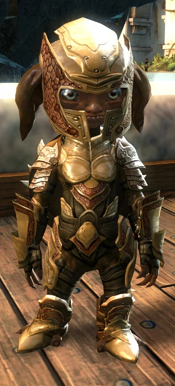 Lionguard Amita | ギルドウォーズ2 日本語版 Wiki | Fandom