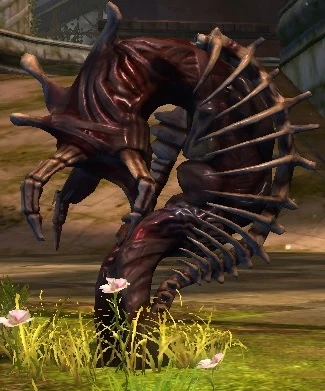 Flesh Wurm (NPC) | ギルドウォーズ2 日本語版 Wiki | Fandom