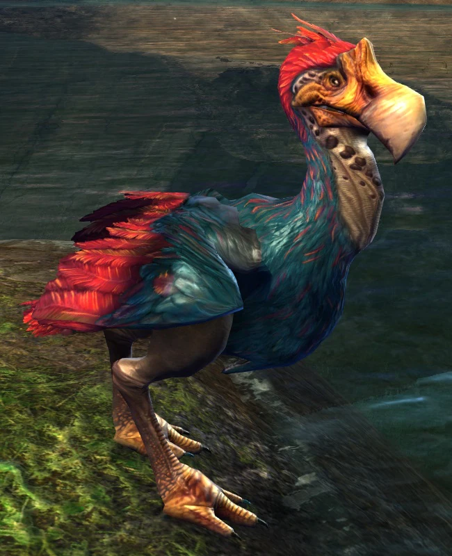 Blue Moa Bird | ギルドウォーズ2 日本語版 Wiki | Fandom