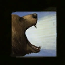 Alpha Roar | ギルドウォーズ2 日本語版 Wiki | Fandom