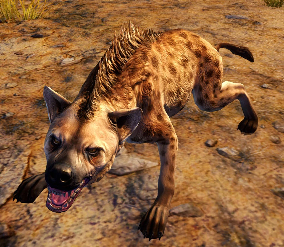 Veteran Tame Spotted Hyena | ギルドウォーズ2 日本語版 Wiki | Fandom
