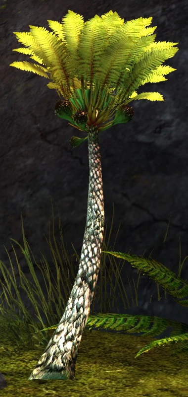 Palm Sapling | ギルドウォーズ2 日本語版 Wiki | Fandom