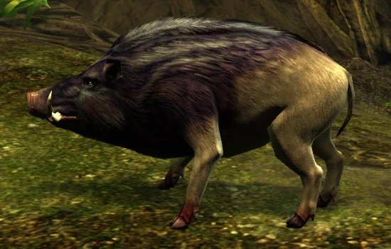 Jungle Boar | ギルドウォーズ2 日本語版 Wiki | Fandom