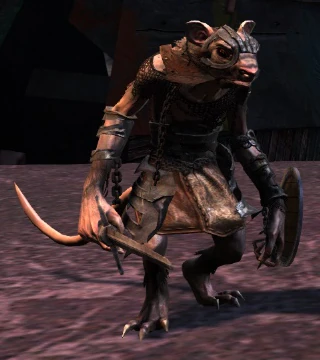 Royal Guard Captain | ギルドウォーズ2 日本語版 Wiki | Fandom