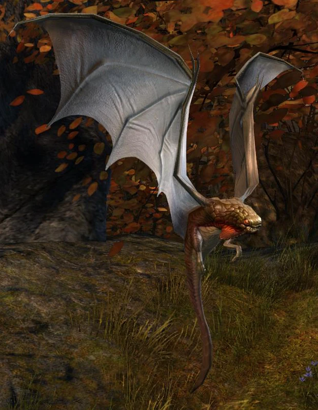 Cliff Bat | ギルドウォーズ2 日本語版 Wiki | Fandom