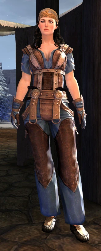 Artisan (Master Weaponsmith) | ギルドウォーズ2 日本語版 Wiki | Fandom