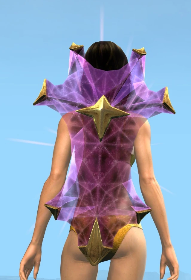 Amethyst Shield | ギルドウォーズ2 日本語版 Wiki | Fandom