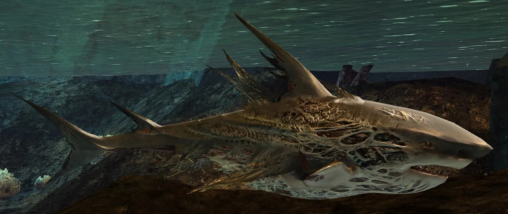 Risen Shark | ギルドウォーズ2 日本語版 Wiki | Fandom