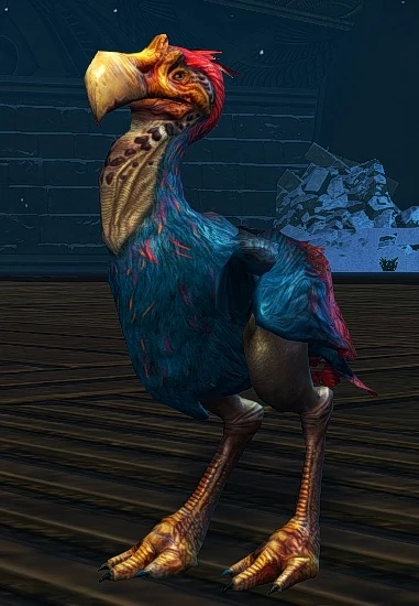 Blue Moa Tonic | ギルドウォーズ2 日本語版 Wiki | Fandom
