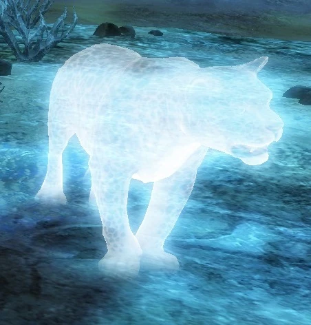 Snow Leopard Spirit | ギルドウォーズ2 日本語版 Wiki | Fandom