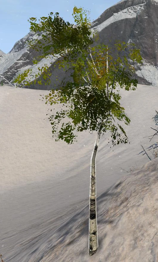 Aspen Sapling | ギルドウォーズ2 日本語版 Wiki | Fandom