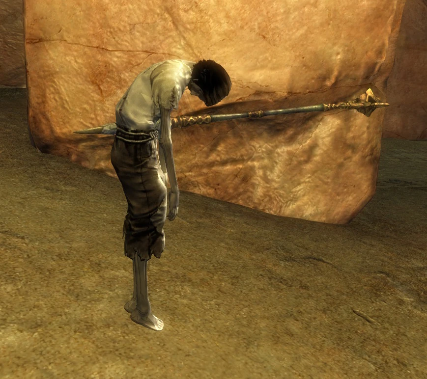 Impaled Prisoner | ギルドウォーズ2 日本語版 Wiki | Fandom