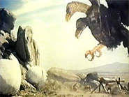 Roc | Ray Harryhausen's Creatures Wiki | Fandom
